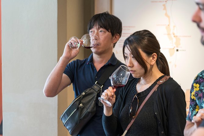 Morning Wine Tour to Chateauneuf du Pape from Avignon - Exploring the Itinerary and What You Can Expect