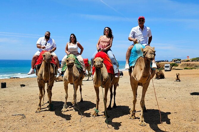 Morocco: Tangier Private Tour from Malaga & Tarifa. All Inclusive - Key Points