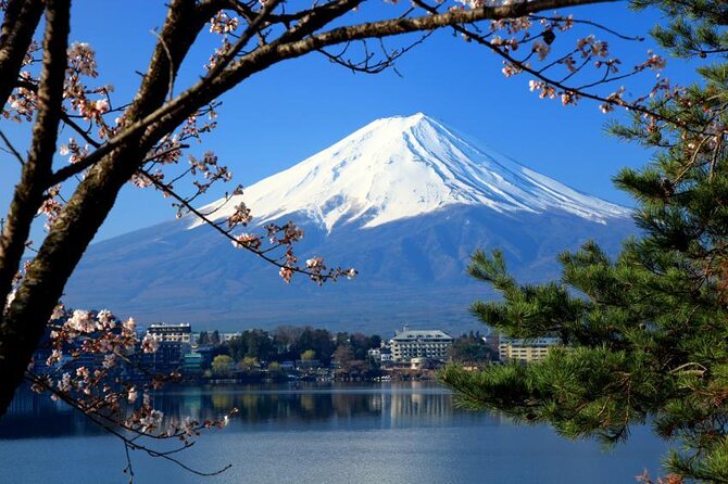 Mt Fuji and Hakone 1-Day Bus Tour Return by Bullet Train - Starting Point and Transportation