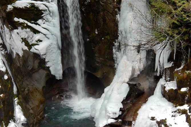 Mt. Rainier National Park Day Tour from Seattle - Who Will Love This Tour?