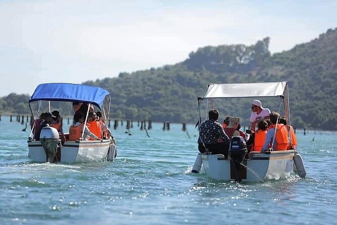 Mussel Sailing Tour with Food and Drink Tasting in Albania - Practical Details & What to Expect