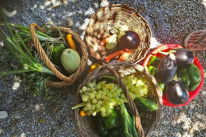 Naxos:Half-day cooking class at Basiliko - Discovering the Naxos Culinary Heritage