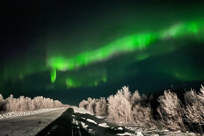 Northern Light hunt with minibus to Abisko 7:30 pm - The Sum Up: Who Will Love This Tour?