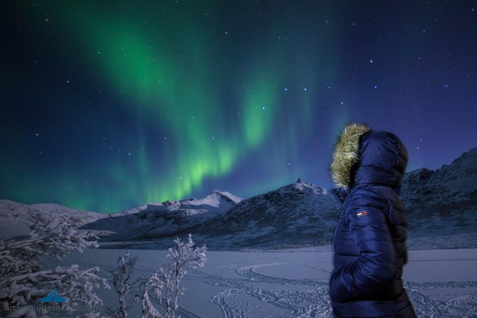 Northern Lights Chase - Analyzing the Experience in Detail