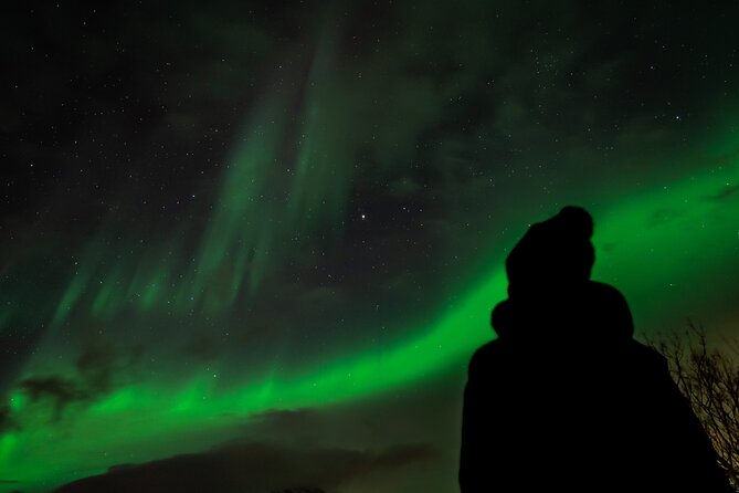 Northern Lights in Focus Tour by Minibus, German/ English, Meal - The Itinerary in Detail
