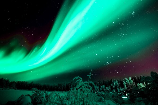 Northern Lights Rovaniemi: Guaranteed Viewing & Unlimited Mileage - Why Choose This Tour?