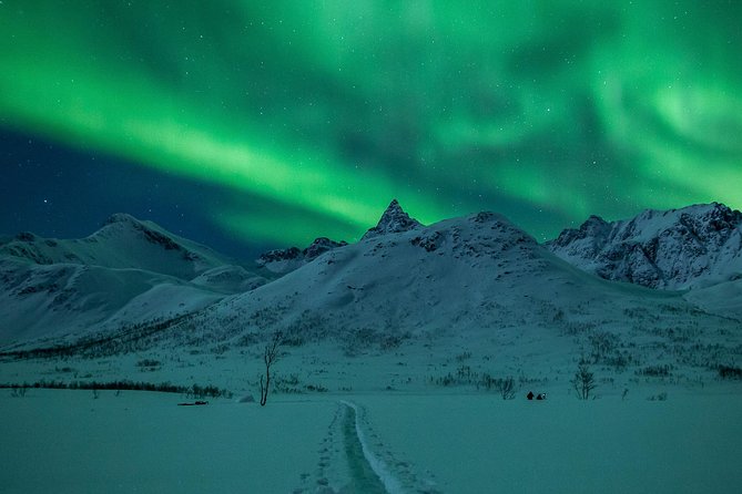 Northern Lights Tour from Tromsø - Introduction: What Makes This Tour Stand Out?