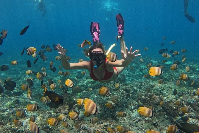 Nusa Penida by Private Boat - Snorkeling 4 spots, Swim with Mantas + Land Tour - Discovering Nusa Penida: The Heart of This Tour