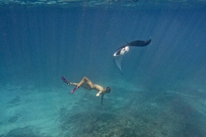 Nusa Penida day trip: boat, 4 snorkeling, Manta rays & Land tour - Introduction: An All-in-One Nusa Penida Adventure