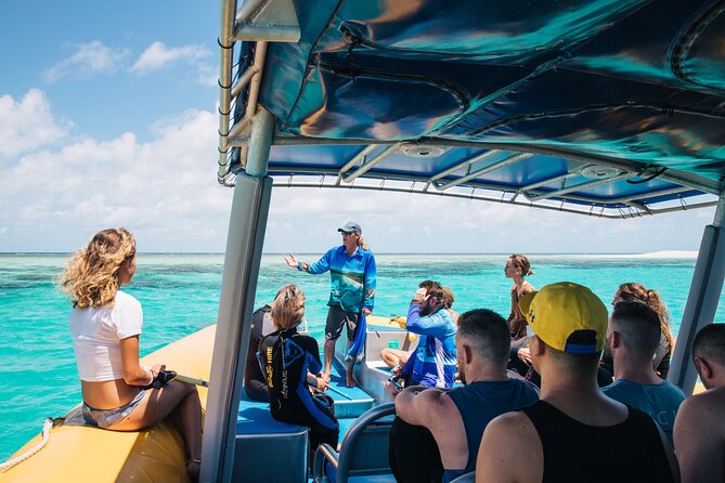 Ocean Safari Great Barrier Reef Experience in Cape Tribulation - Who Should Book This Tour?