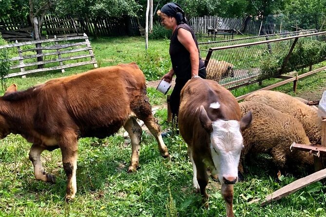 Original Carpathian Village Experience and Sinaia in one day tour - Who Will Love This Tour?