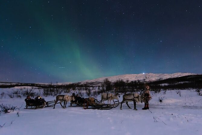 Overnight Stay with Reindeer Sledding & Feeding - Key Points
