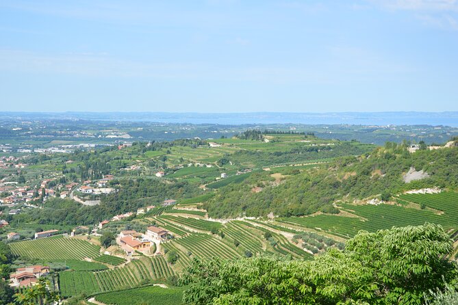 Pagus Wine Tours® - A taste of Amarone - Half day wine tour - Key Points
