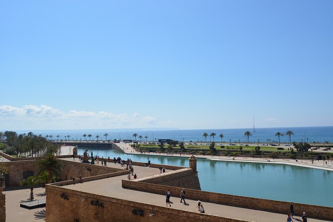 Palma de Mallorca Easy Bike Tour - Why We Love This Tour