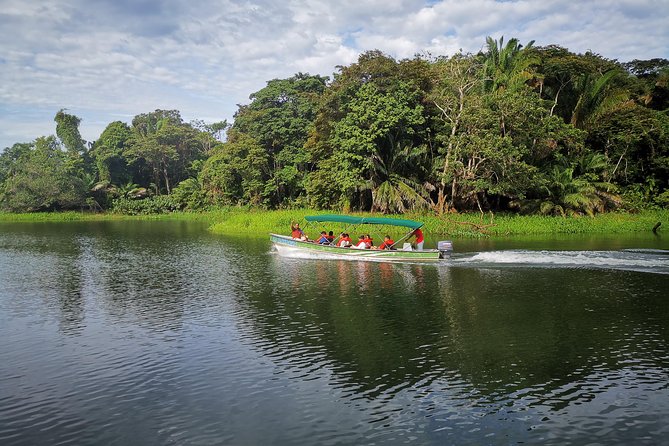 Panama Canal Monkey & Wildlife Boat Safari - Is It Worth the Price?