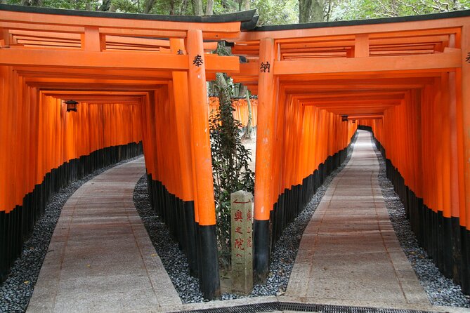 PERFECT KYOTO 1-Day Bus Tour - An Extensive Look at the Itinerary