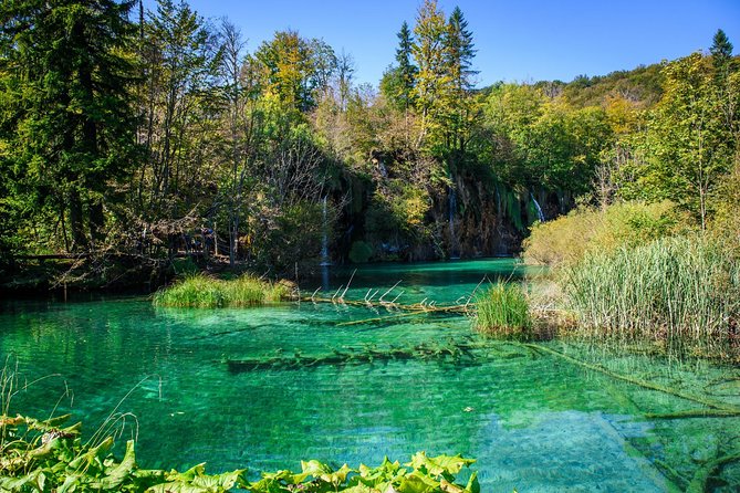 Plitvice Lakes guided Tour from Zagreb - A Natural Wonder: What to Expect on the Tour