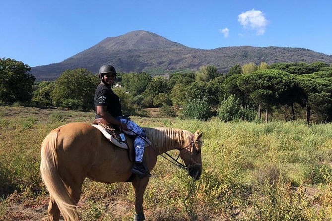 Pompeii Guided Tour & Horse Riding on Vesuvius with Lunch - Overview of the Itinerary