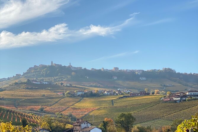 Private Barolo / Barbaresco - Piedmont Wine Tours and Tastings - The Allure of Piedmont’s Wine Region