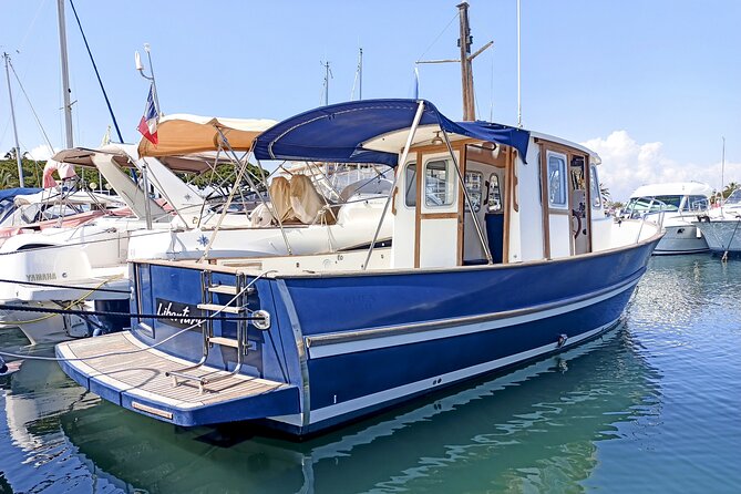 Private Boat Tour Cannes Lerins Islands - An Overview of the Experience