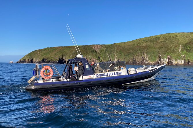 Private family sea safari - Starting Point and Practical Details