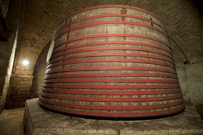 Private Food and Wine Tour in the Cellar with Tastings - An In-Depth Look at the Itinerary
