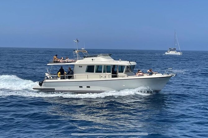 Private Full-Day Motor Yacht Cruise with Meal, Open Bar+Transfers - Price and Value