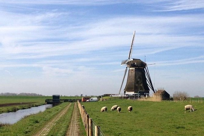 Private Guided Full-Day Customizable Tour of Holland from Amsterdam - The Transportation: Comfort and Convenience