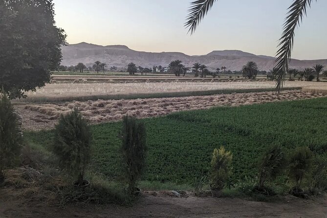 Private Half Day Tour West Bank of the Nile Luxor Egypt - Connecting with Reviews: Authentic Insights