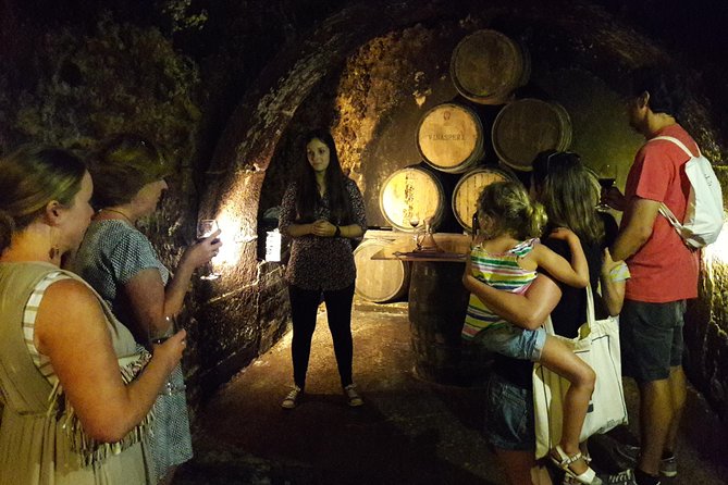Private Rioja wine tasting tour with local lunch - In-Depth Look at the Rioja Private Tour