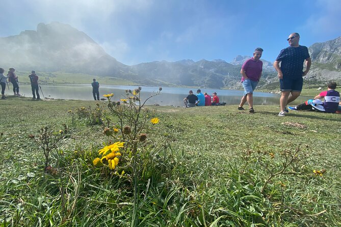 Private Tour from Oviedo to Covadonga, lakes, & sailors villages - Key Points