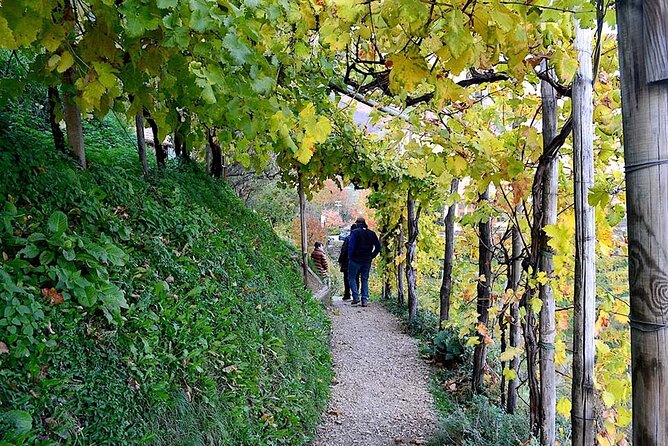 Private Tour: Prosecco Wine Tasting Day Trip with Lunch from Venice - What Makes This Tour Stand Out?