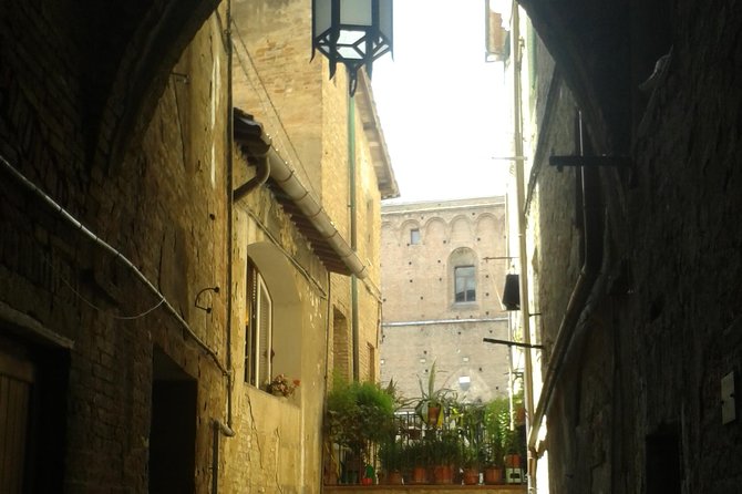 Private Tour: Siena Walking Tour - Exploring Siena’s Highlights in Just a Few Hours