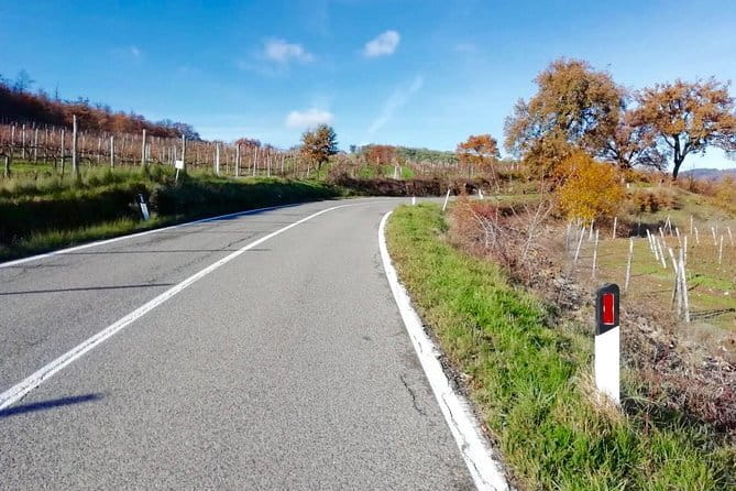Private Tuscany Cycling Tour from Florence - The Highlights and Stops