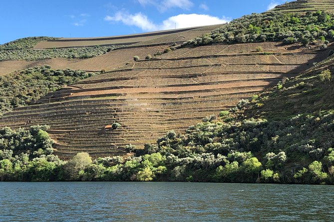 Private Wine Tour in the Douro Valley - Private wine tastings and lunch included - Explore the Itinerary and What Makes Each Stop Special