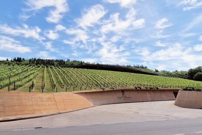 PRIVATE WINE TOUR TUSCANY Wines and Wineries of Chianti Classico - An In-Depth Look at the Chianti Classico Private Wine Tour