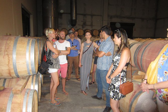 Private Wine Tour with Wine Tasting and Full Lunch (day trip) - What Travelers Say: Authentic, Educational, and Fun