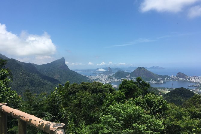 Rainforest Hike in Rio: Tijuca Waterfalls, Wildlife & Caves - A Deep Dive into the Tijuca Rainforest Tour