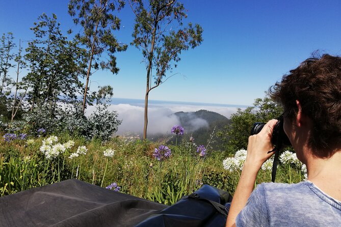 Real Life, Mountains & Sea Cliffs + Lunch + Levada walk - 6 hours - A Deep Dive into the Madeira Jeep Tour