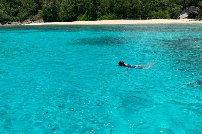 Reef Safari - Snorkeling, Fish Feeding & Lunch (Shared Day Trip) - Exploring the Itinerary: What You Can Expect