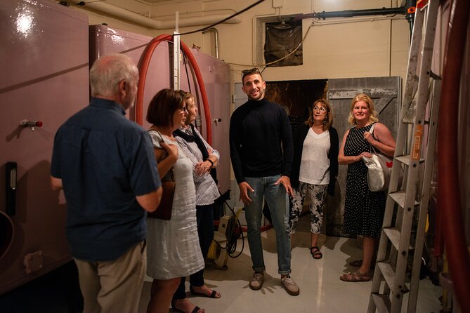 Reims afternoon tour Champagne and family growers - The Experience: From Transportation to Tastings