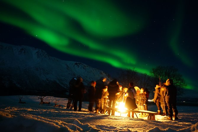Reindeer feeding & Saami Culture with chance for Northern Lights - The Itinerary in Detail: What to Expect