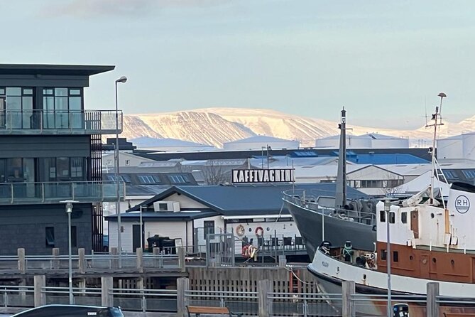 Reykjavik Food Tour - Old Harbor Walking Tour - The Itinerary: What to Expect at Each Stop