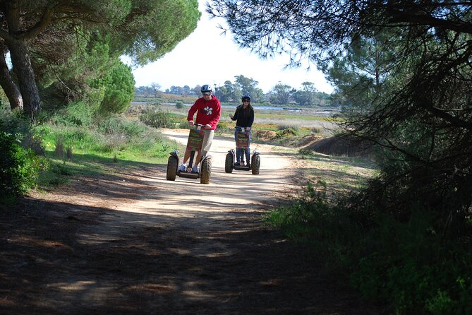 Ria Formosa Natural Park Birdwatching Segway Tour from Faro - Birdwatching and Wildlife