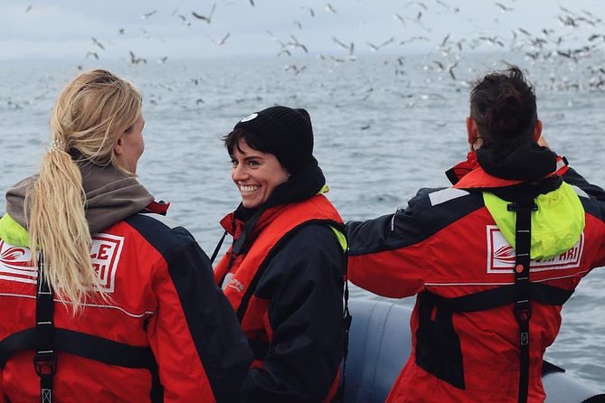 RIB Whale Watching Small-Group Boat Tour from Reykjavik - Comprehensive Review of the Reykjavik RIB Whale Watching Tour