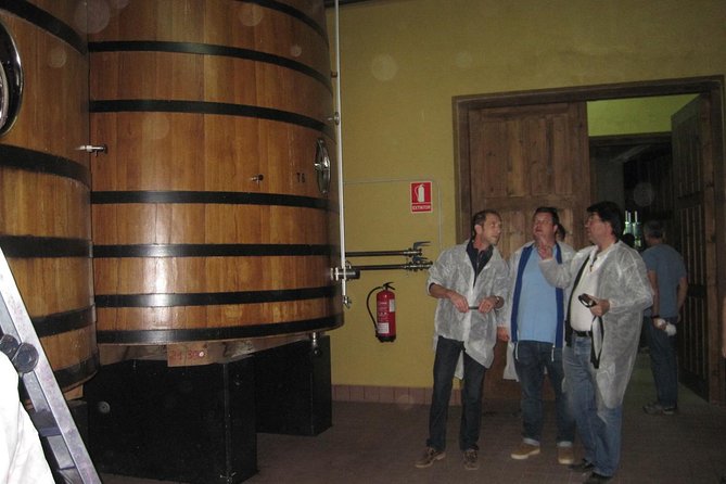 Ribera del Duero Winery Guided Tour and Wine Tasting from Madrid - Why This Tour Stands Out