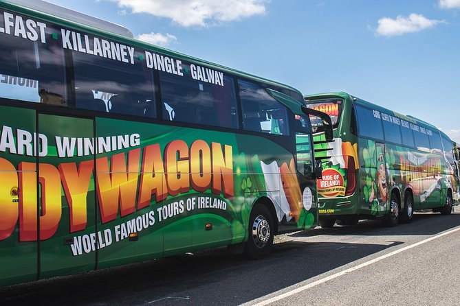 Ring of Kerry Day Tour from Cork: Including Killarney National Park - A Detailed Look at the Tour Experience