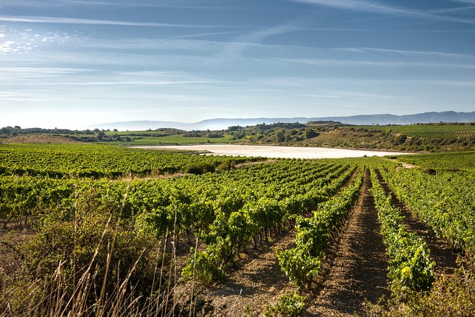 Rioja Wine Tour: 2 Wineries From Bilbao - Who Should Consider This Tour?
