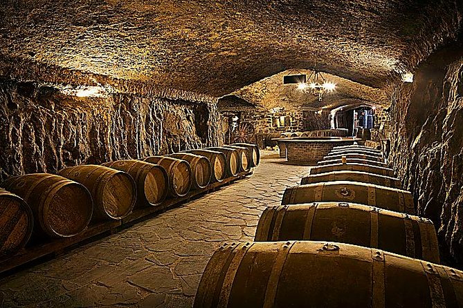Rioja Wine Tour: Winery, Tasting & Lunch from San Sebastian - Who Should Consider This Tour?