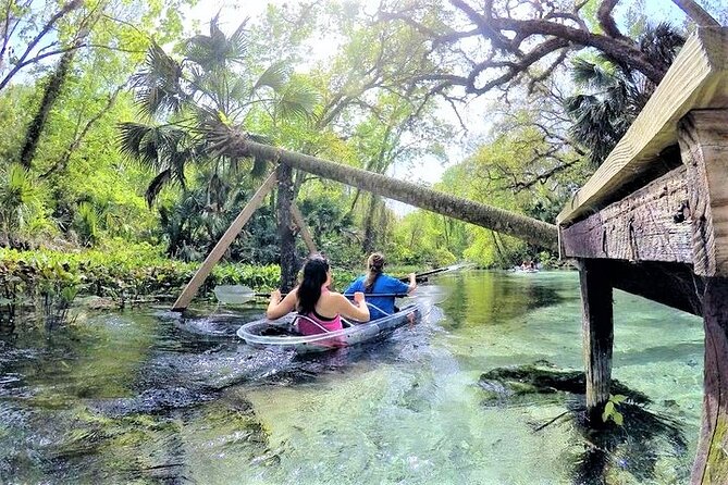 Rock Springs 2-Hour Glass Bottom Guided Kayak Eco Tour - What to Expect on the Tour